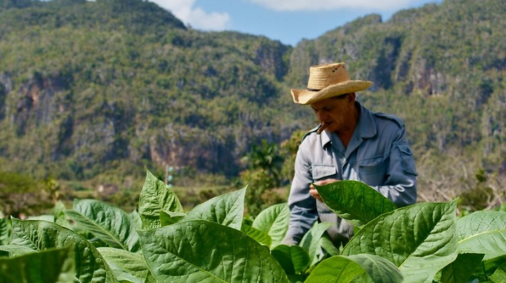 Buen Viaje a Cuba - La Ruta del Tabaco tendrá un hotel de alto estándar ...